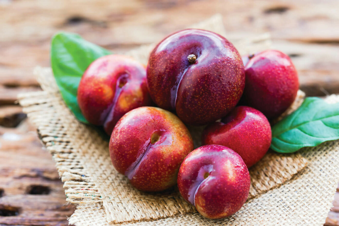 13 benefícios da ameixa, incluindo aquele de que todos falam - Clinicas ...