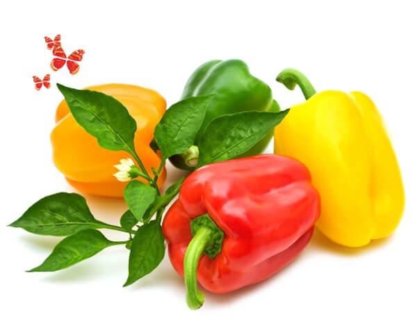 Pimentos, uma fantástica fonte de vitaminas - Clinicas Persona